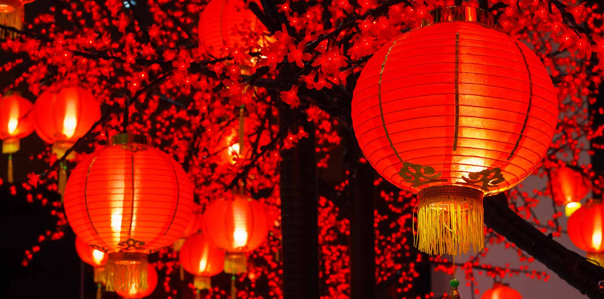 Celebrating Traditional Chinese Festivals With the Locals