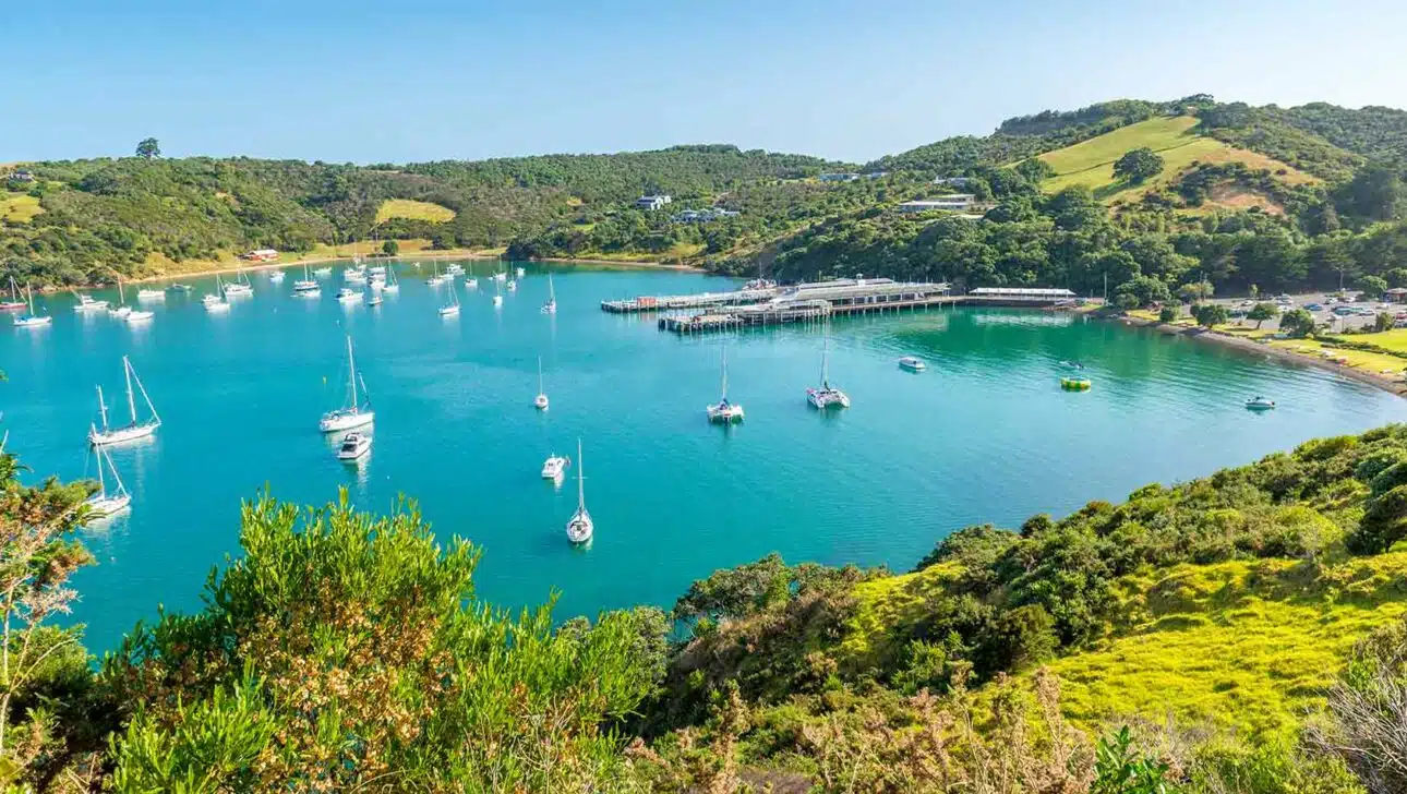 What’s New in New Zealand | Classic Journeys