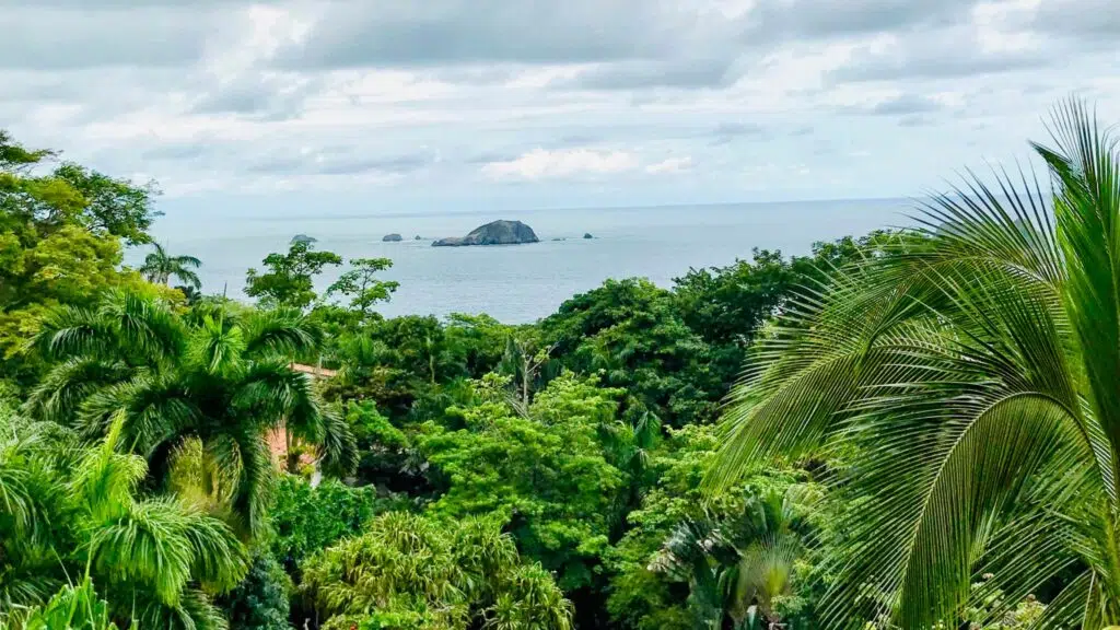 5 Reasons to Visit Manuel Antonio National Park - Classic Journeys