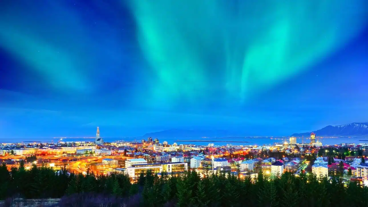 Top 5 Things To See, Eat, and Drink while in Reykjavik, Iceland ...
