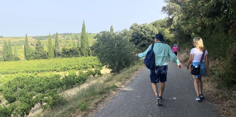 Provence Guided Walking Tours | Classic Journeys